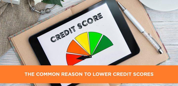 Credit Score vs Credit Report: What’s the Difference? | CreditRepairEase
